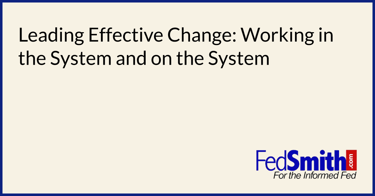 Leading Effective Change: Working In The System And On The System ...