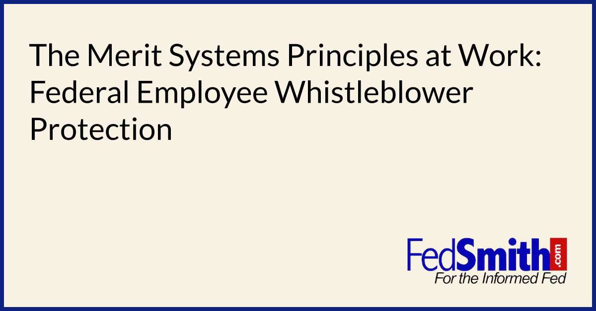 The Merit Systems Principles At Work: Federal Employee Whistleblower ...